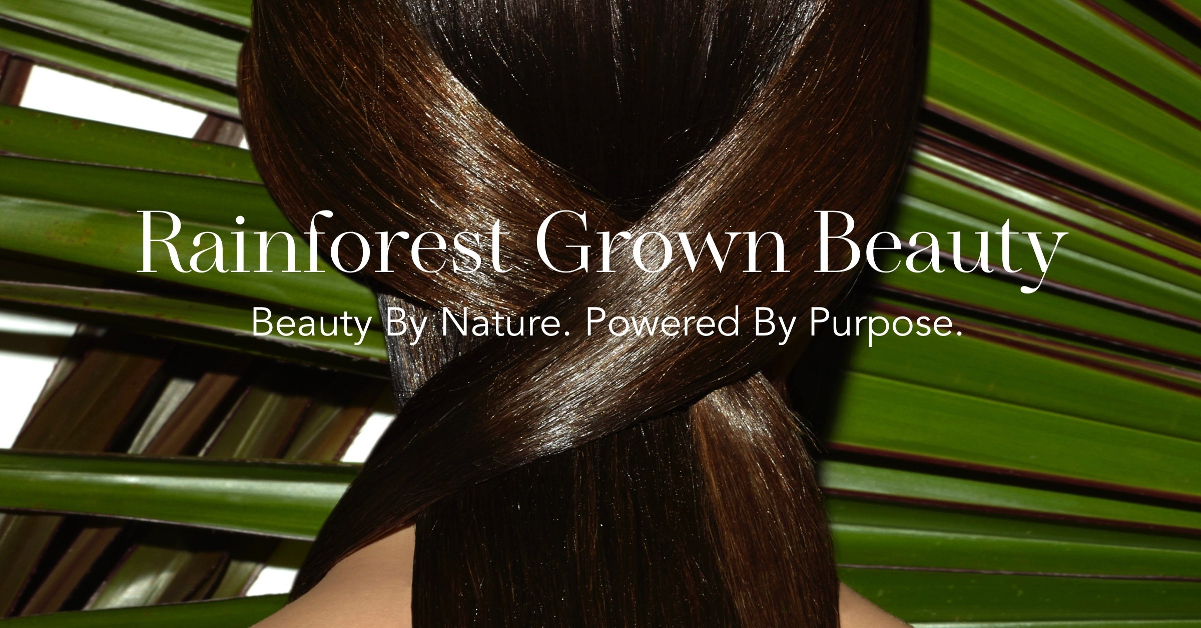 Rahua | Best Organic Shampoo |Rainforest Grown Beauty | Symbiotic Cert ...